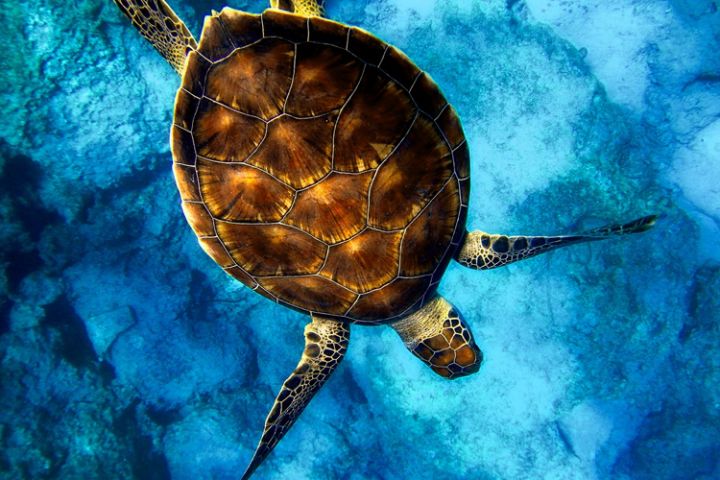 MLK Day: Reflections on Community Service - GLA